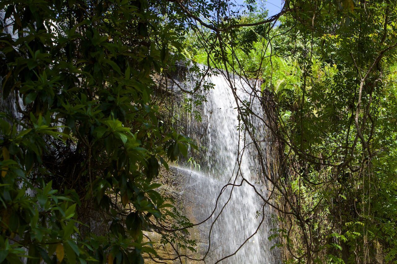 Activities - Mandhari Lodge