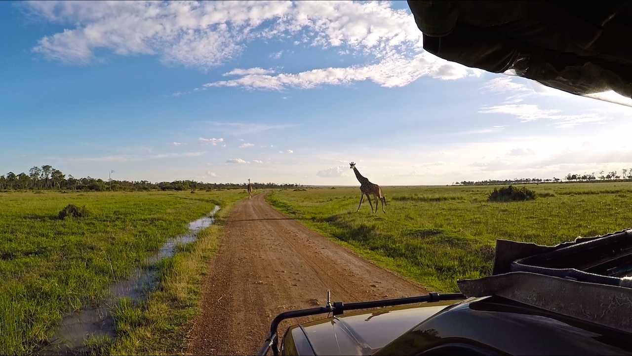 Safaris/Excursions - Mandhari Lodge