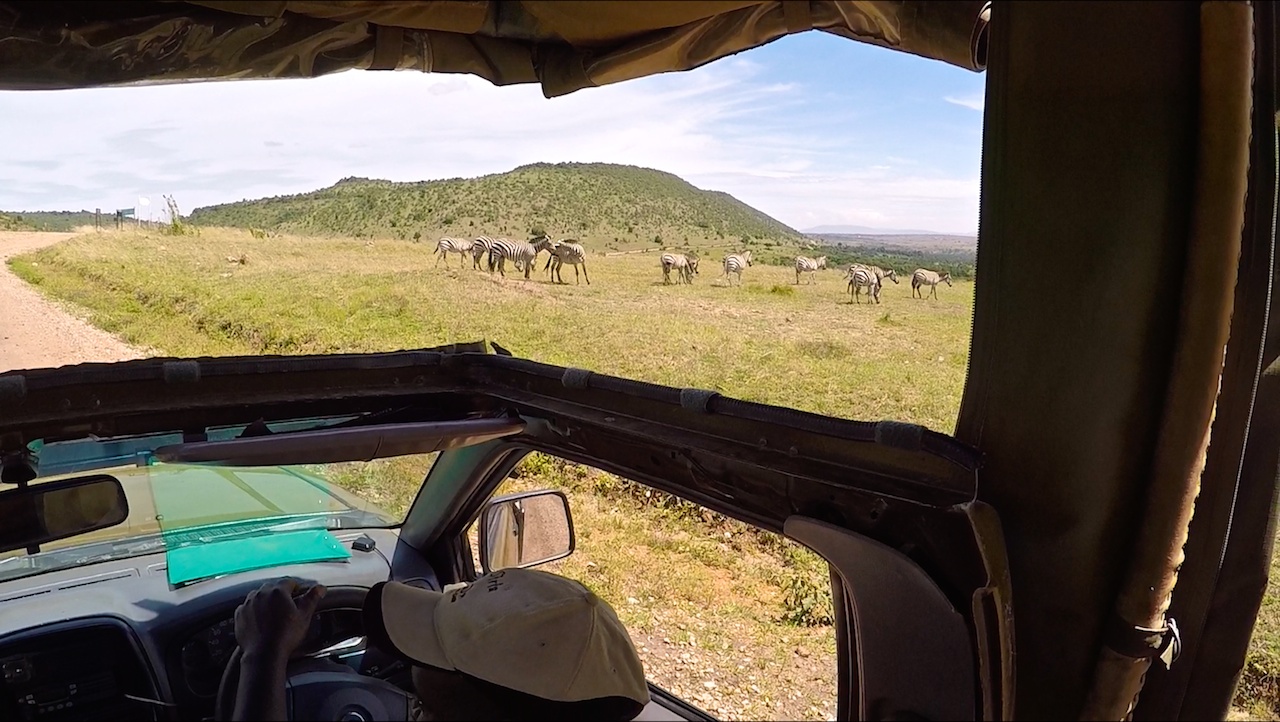 Safaris/Excursions - Mandhari Lodge