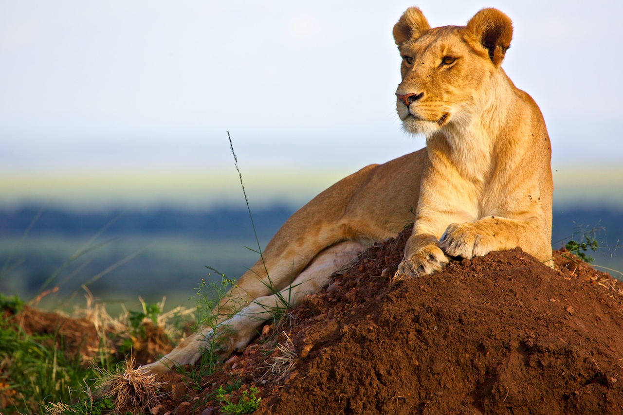 Safaris/Excursions - Mandhari Lodge